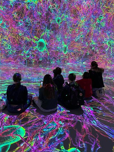 Neuro-Science AG encounters Secrets of the Brain in Art Exhibit ...