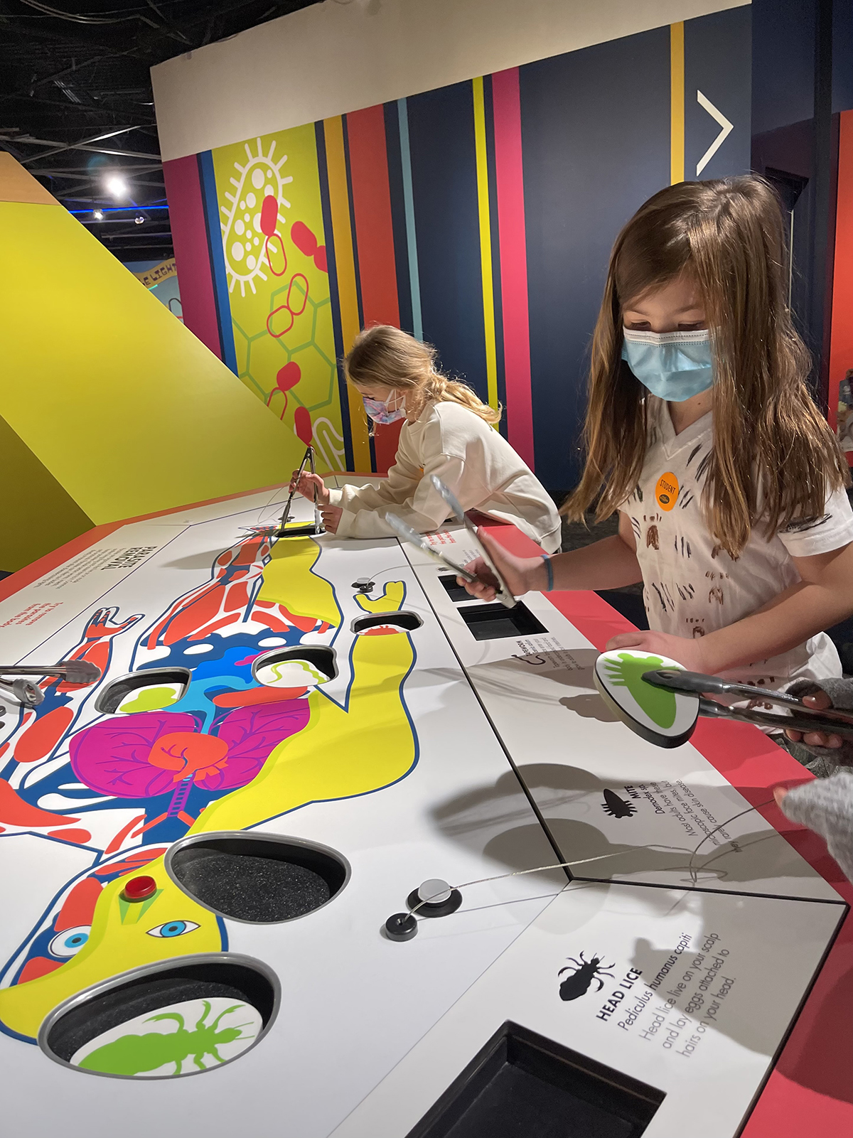 STEM: Wonders of Discovery - German International School Washington D.C.